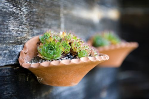 Top 20 Kitchen Wall Design Ideas: Stir Up Your Blank Walls