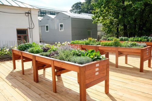 Kitchen Garden Design For Small Spaces Gardening Archives Archives