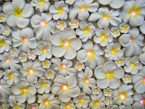 15 Pop Flower Design for Your Home Interior 2021