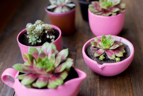 18+ Unique Flower Pot Design Ideas for Your Garden - Magicbricks Blog