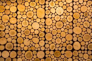 15 Wooden Color Elevation Tiles for Modern Decor