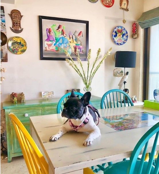Shaan House in Bandra Mumbai - Interiors, Net Worth, and More