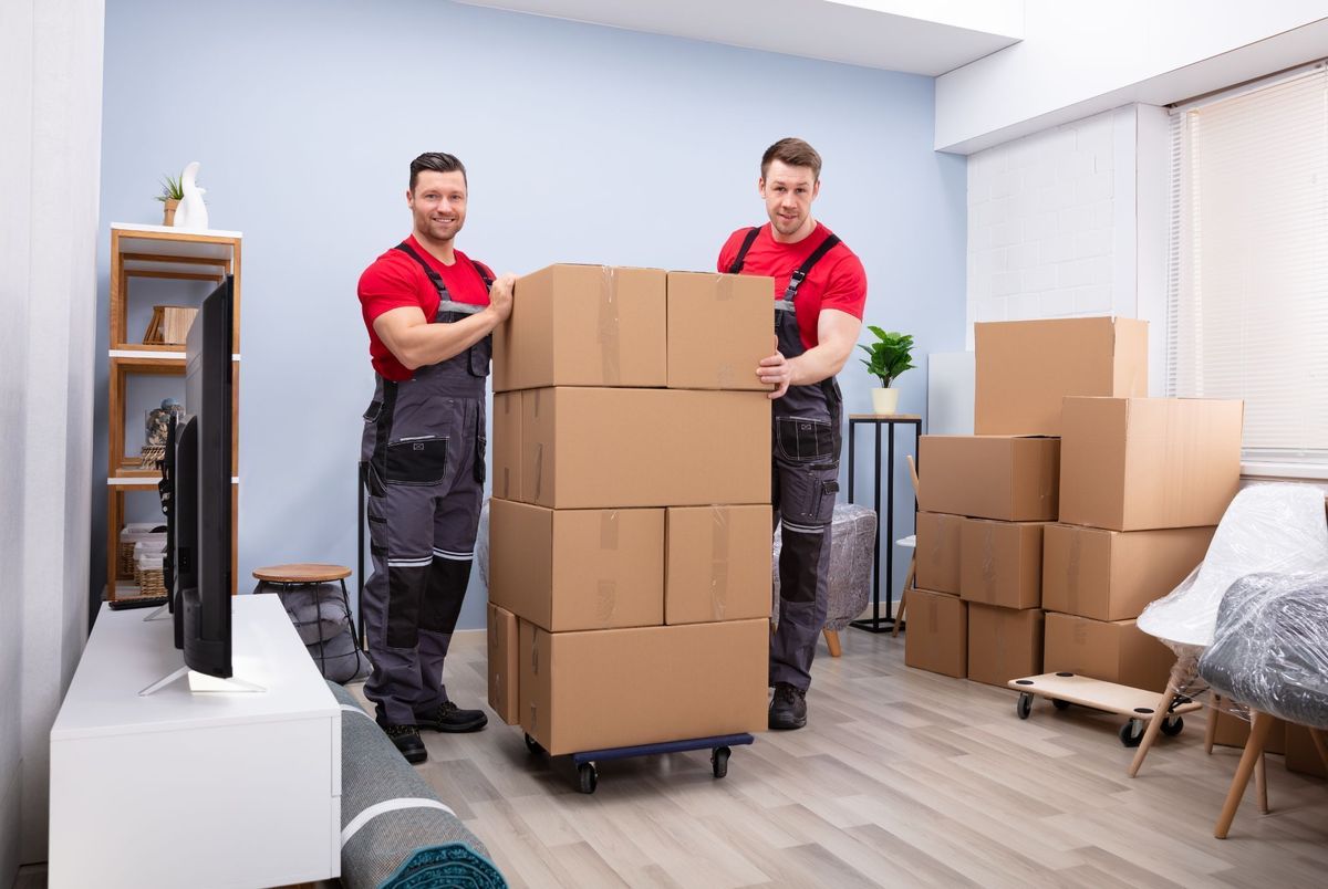 Packers And Movers In Bhopal: Everything You Need To Know