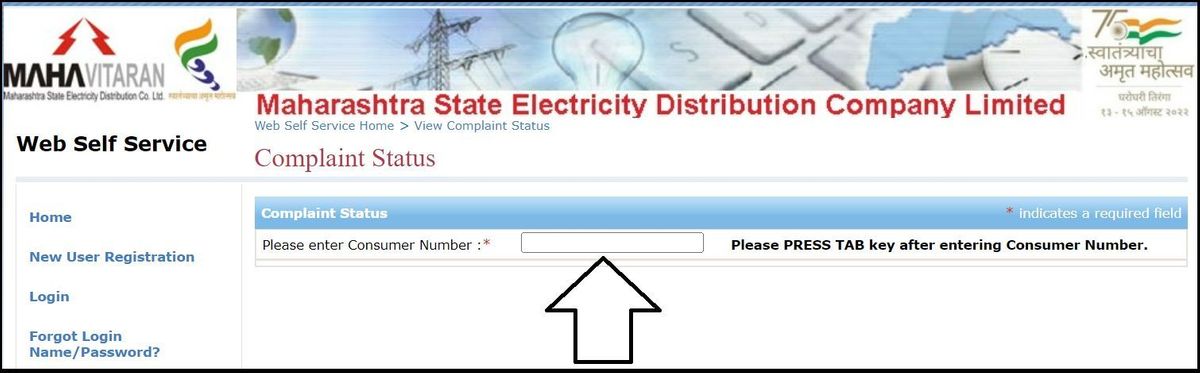 महाराष्ट्र वीज बिल भरणा @ mahadiscom.in MSEDCL