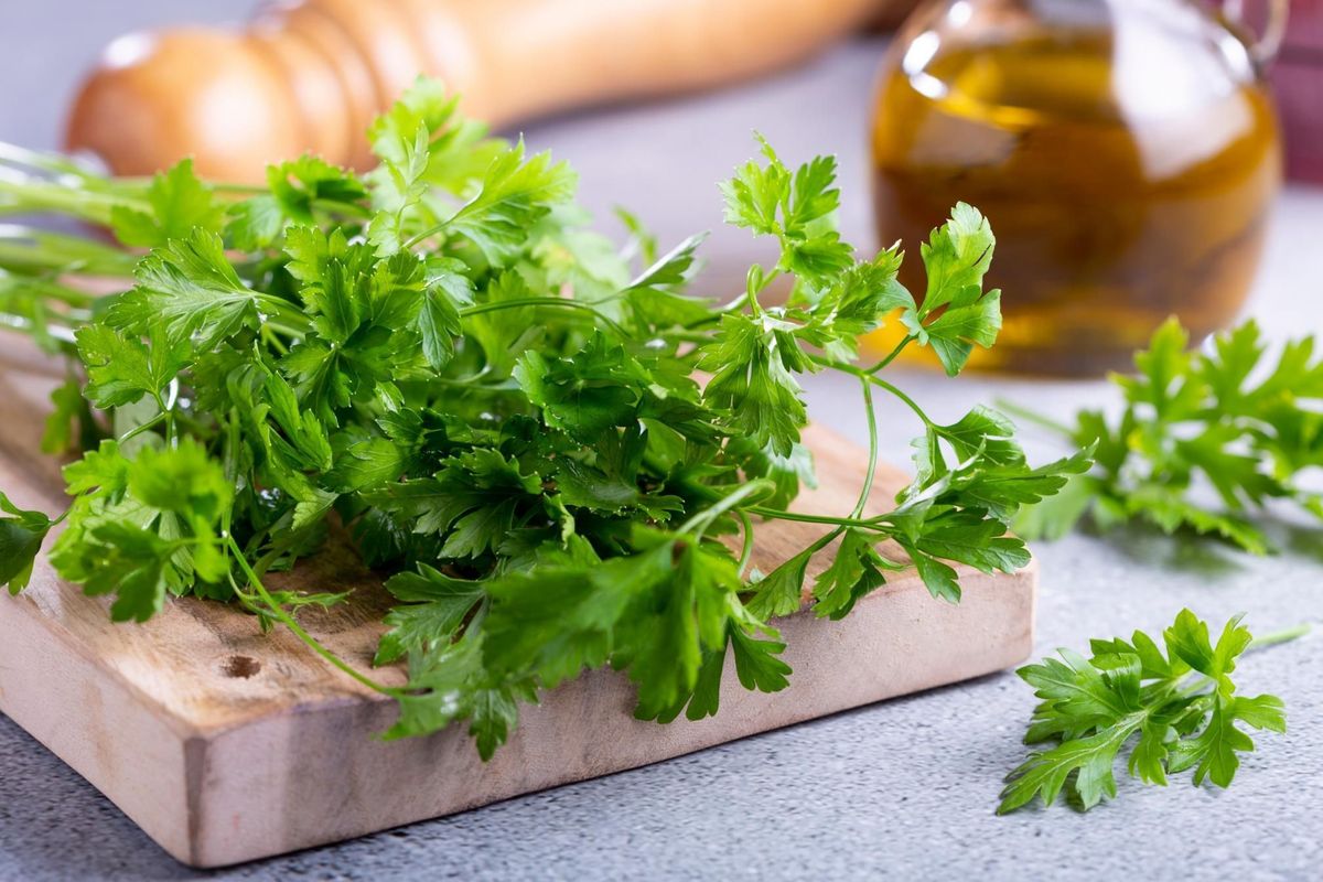 How to Grow Parsley at Home | A Quick & Simple Guide