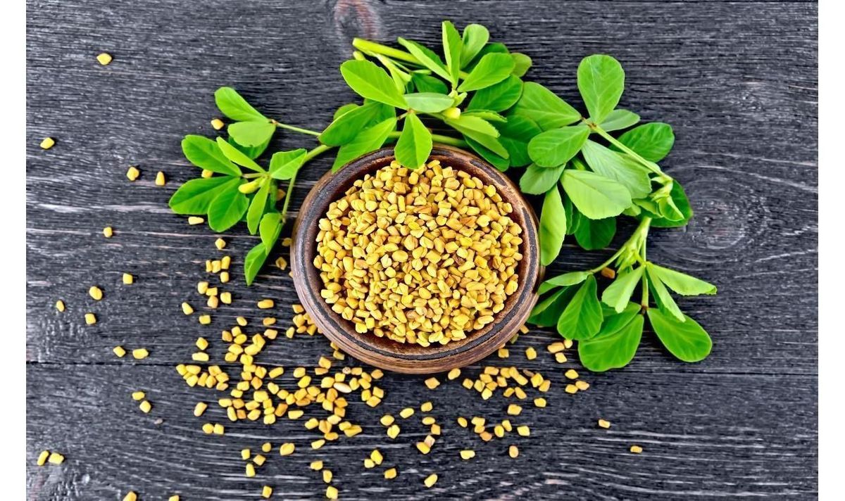 101 Guide: How to Grow Fenugreek or Methi Leaves at Home