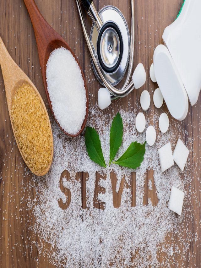 A Quick Guide on How to Grow Stevia Plant at Home
