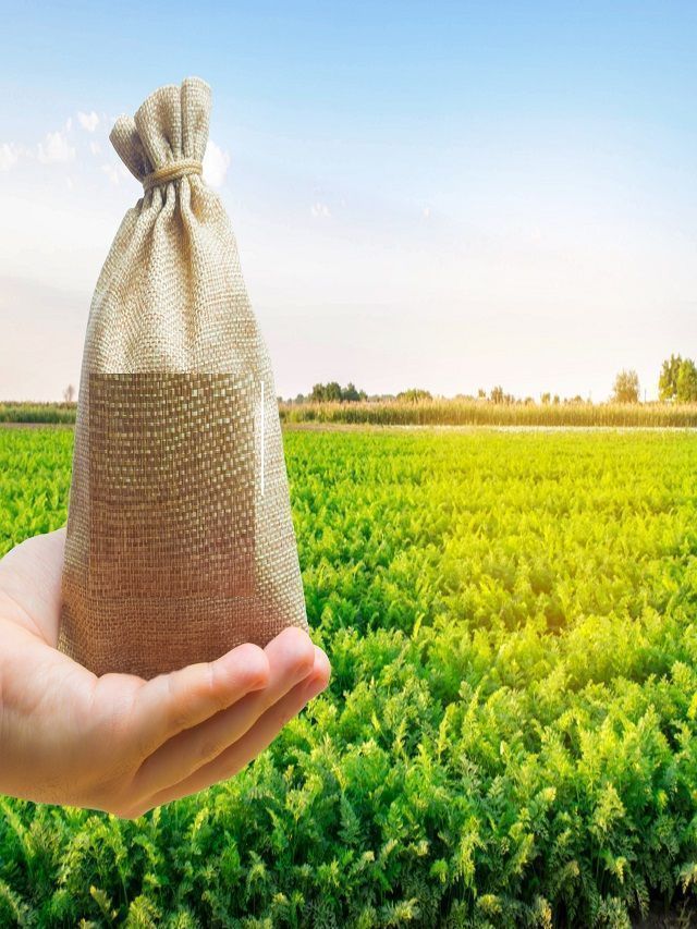 e Pauti Odisha for Hassle-Free Land Payments