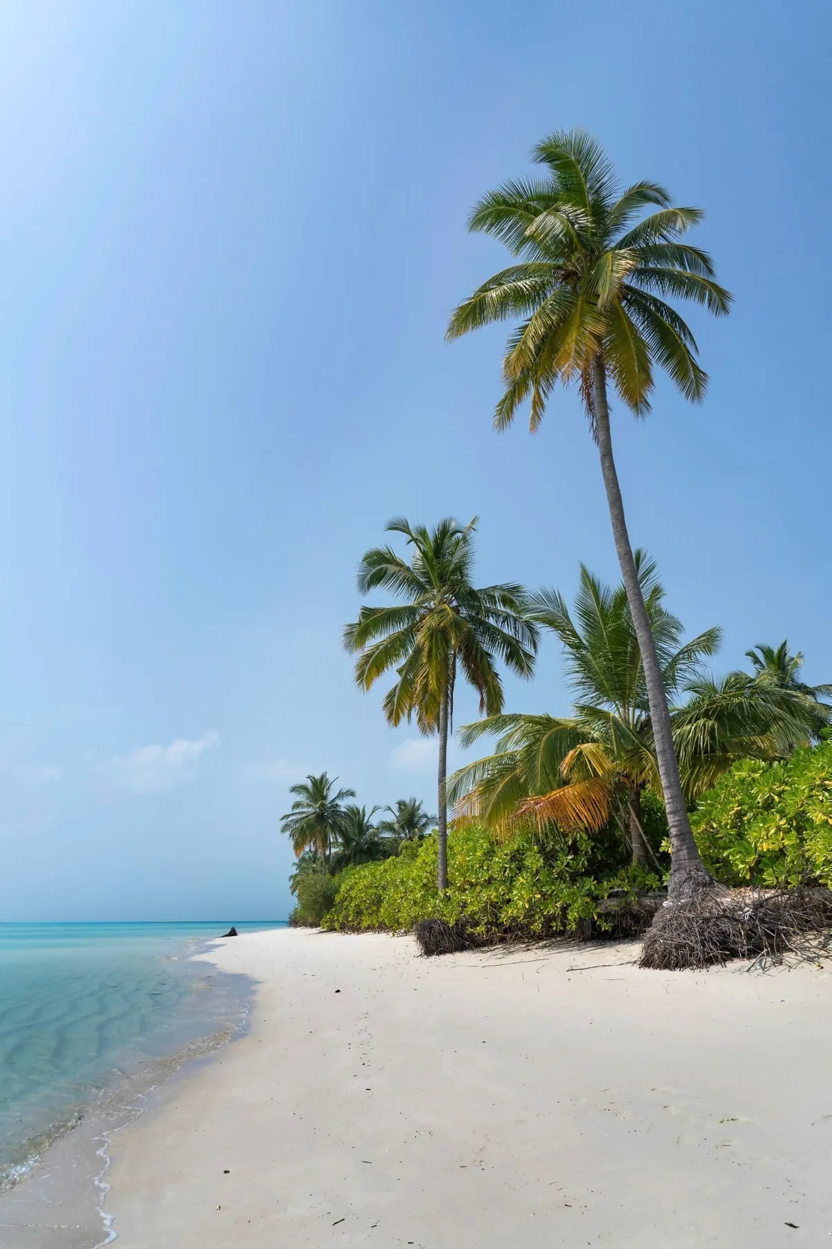 Lakshadweep's Infrastructure: New Projects Inaugurated by PM Modi