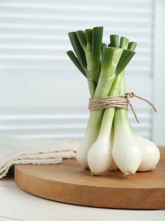 Simple and Effective Process of Growing Spring Onions in Water