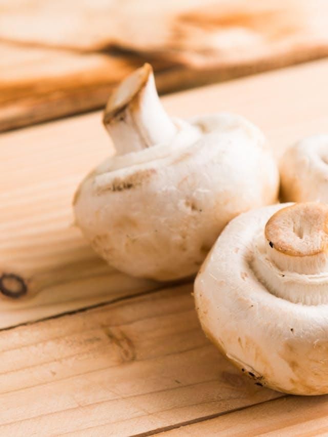 How To Grow Mushrooms At Home In A Container 1149