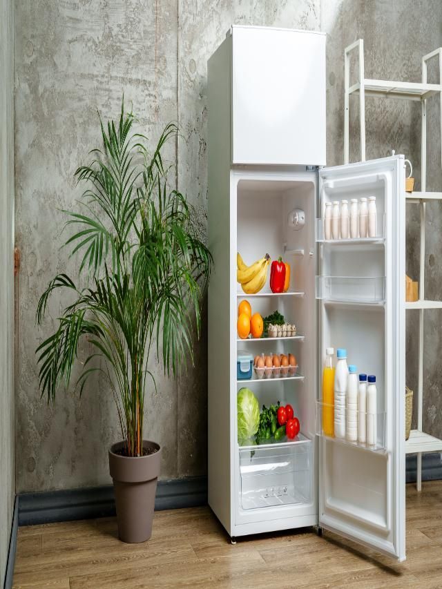 7 Types of Fridge Designs