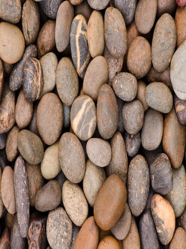 6 Different Types of Pebbles and Stones for Decor