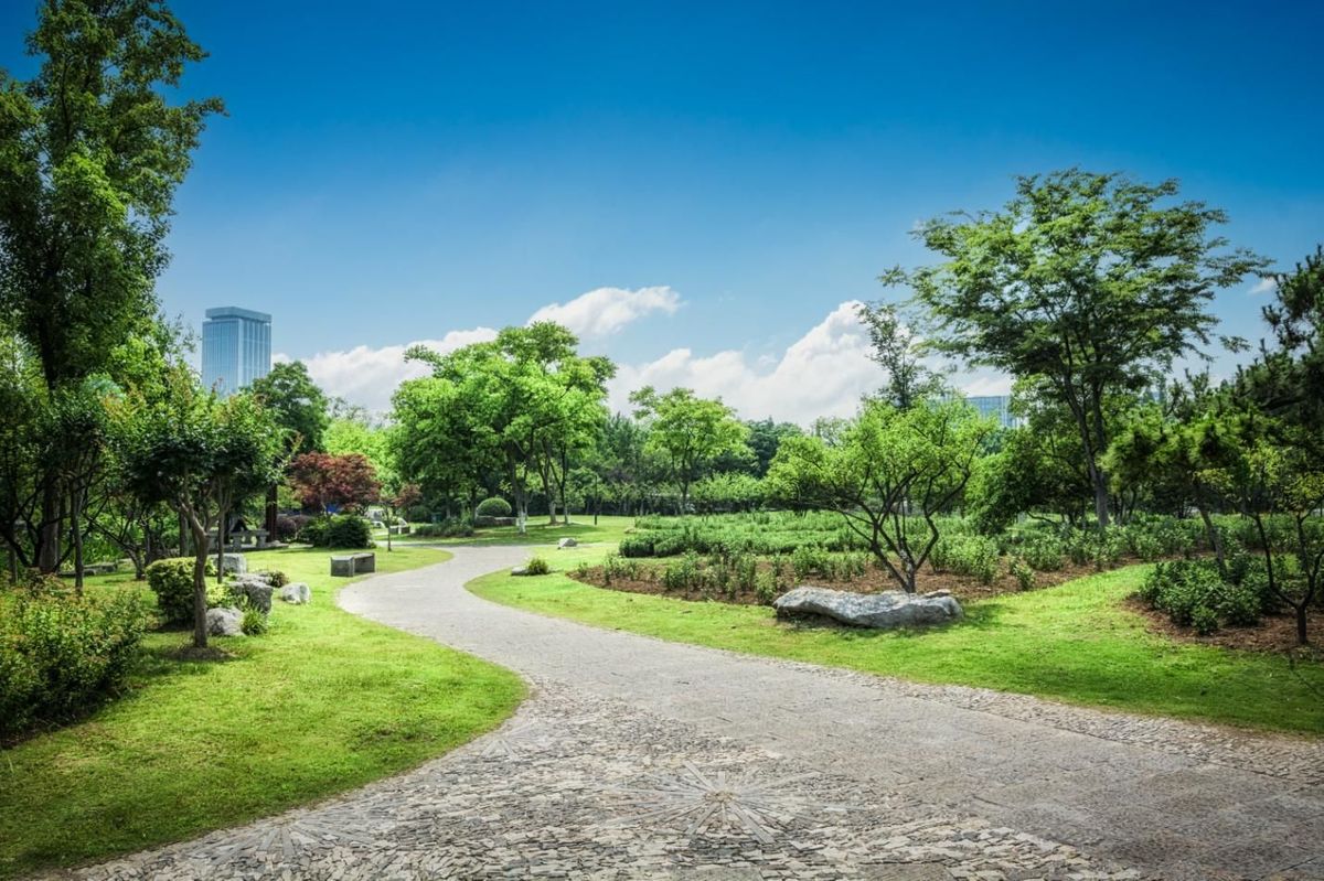 DDA Introduces Comprehensive Plan to Manage Green Spaces in Delhi