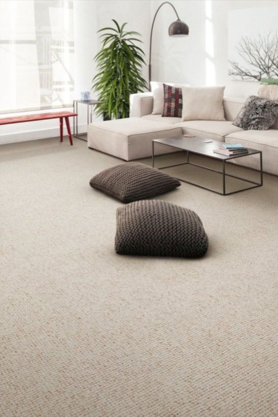 Wall To Wall Shag Carpet