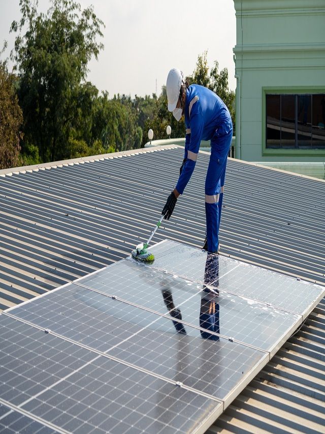 10 Best Tips to Clean Bird Droppings from Home