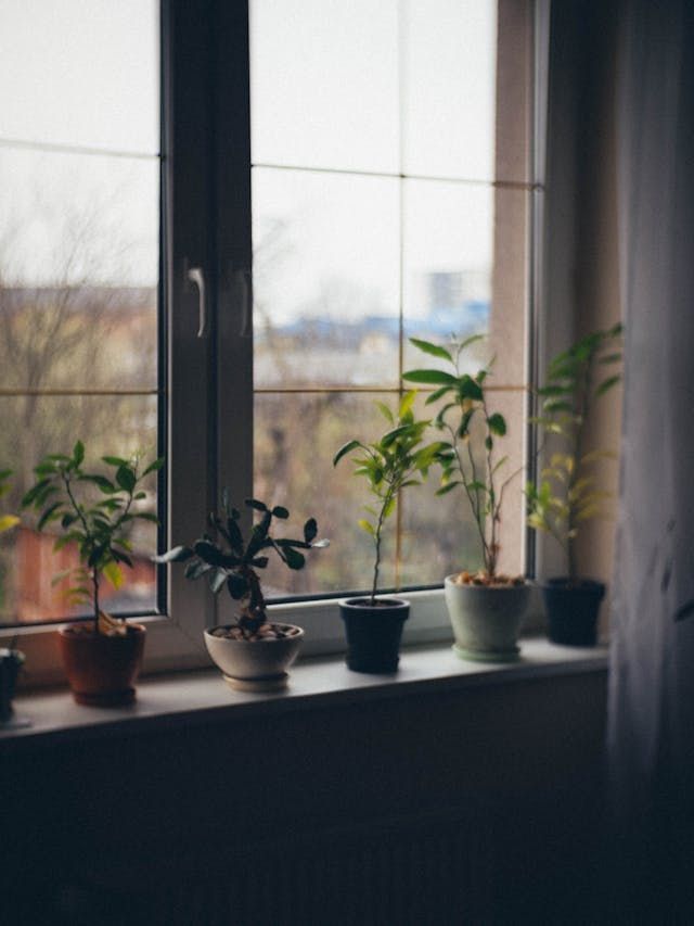 7 Home Window Designs To Fit In Different Rooms Of Your Home