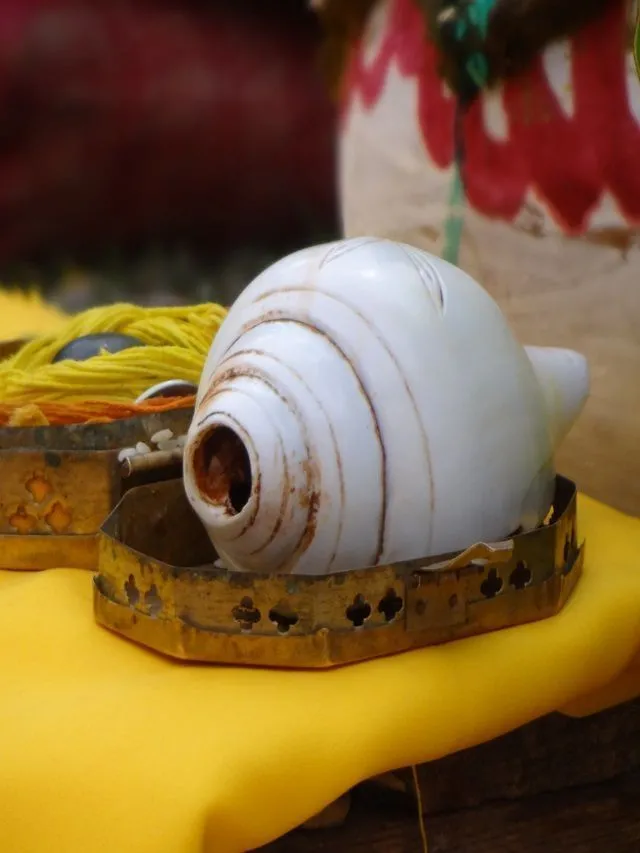 7 Vastu Tips for Keeping Shankh or Conch Shell at Home