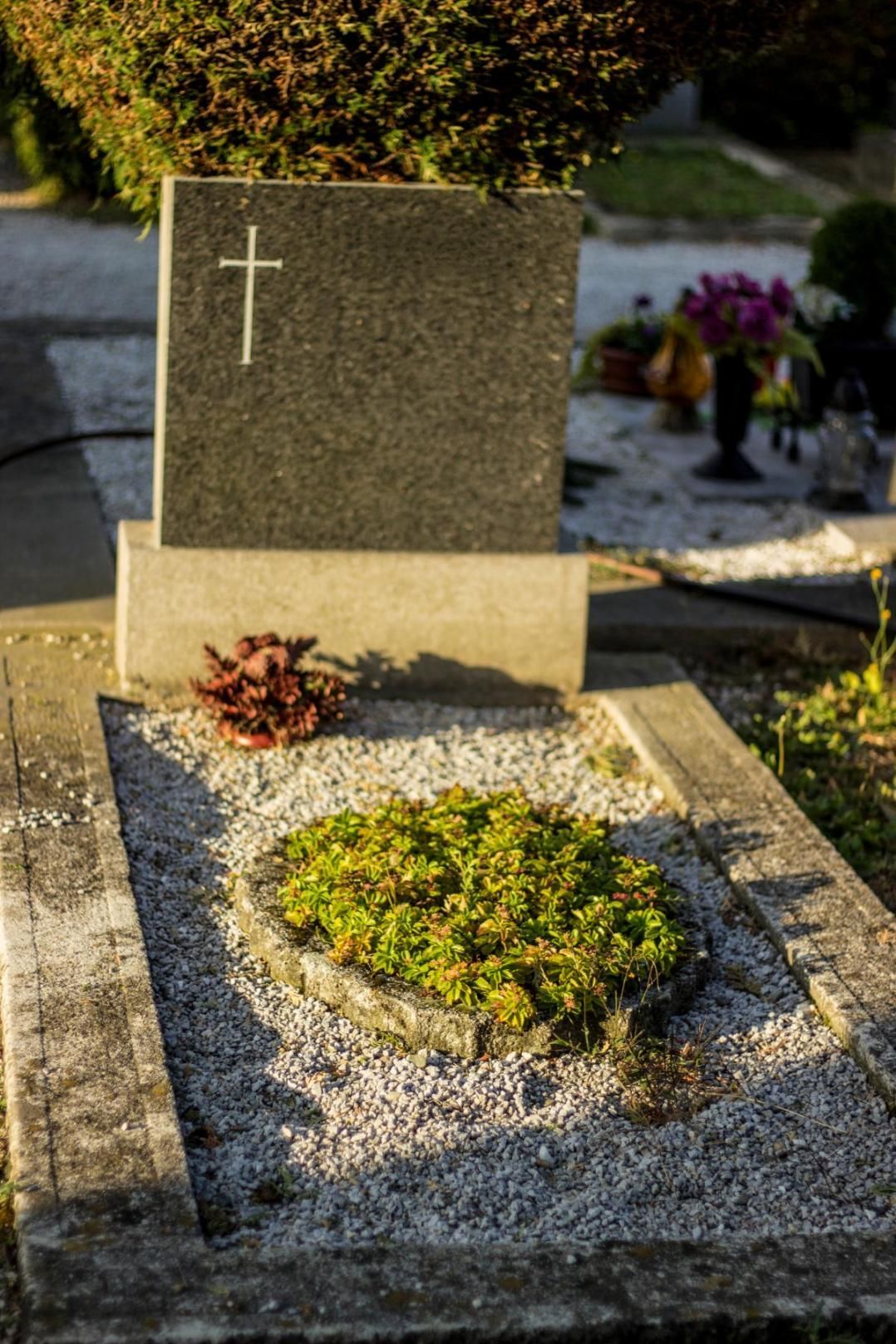 Famous Places In Surat To Visit When You Shift to This City