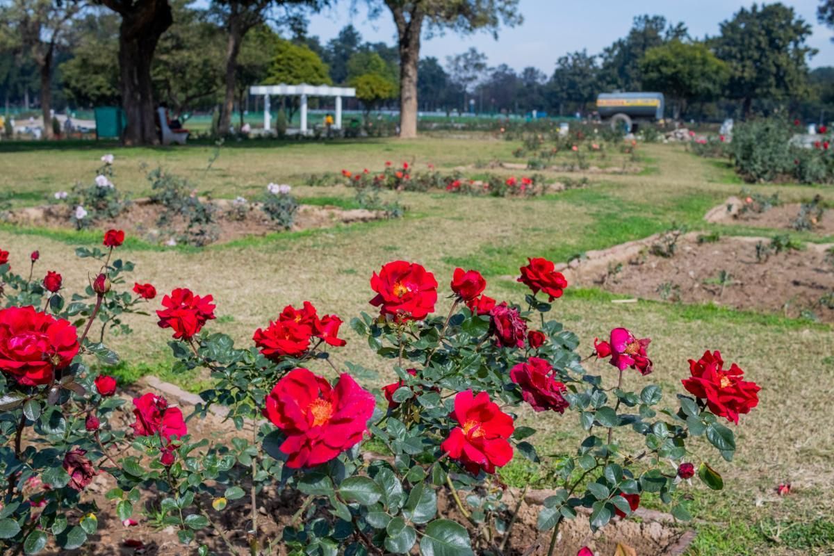 Famous Places in Chandigarh To Know About - Before You Move Here