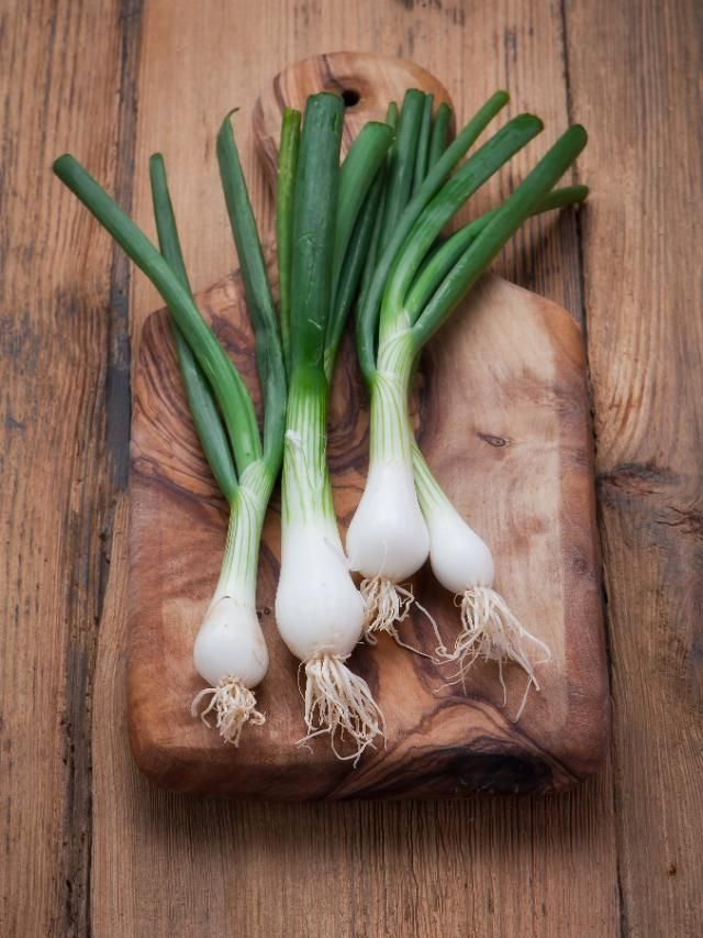 How to Grow Spring Onions or Scallions at Home in Pots