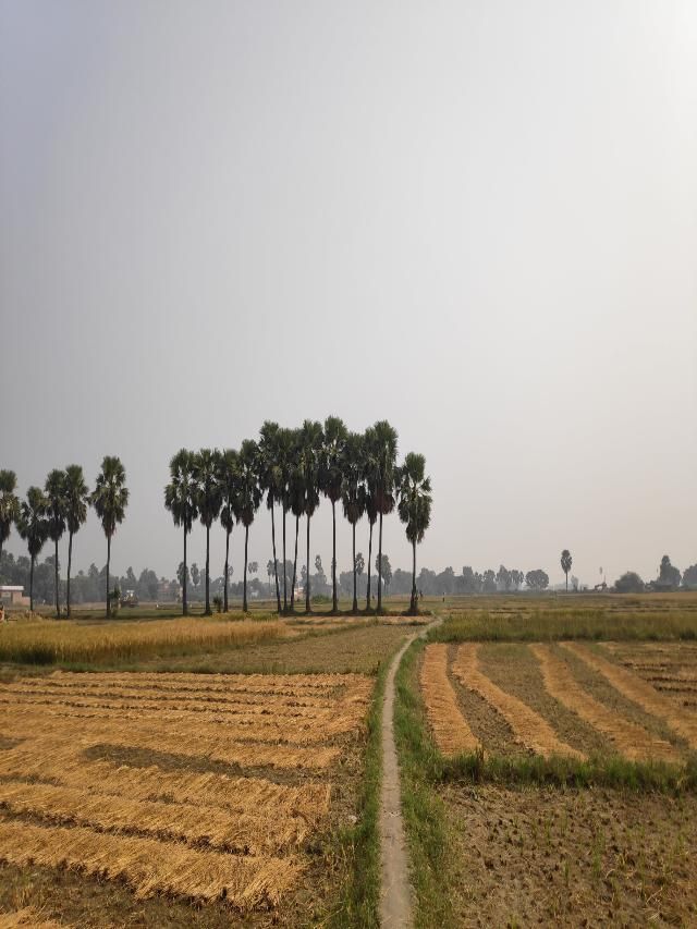 What is Parimarjan Bihar Portal? Learn about Online Services