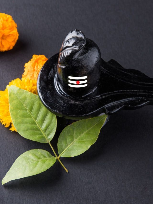 Bel Patra - 7 Surprising Vastu Benefits For Home