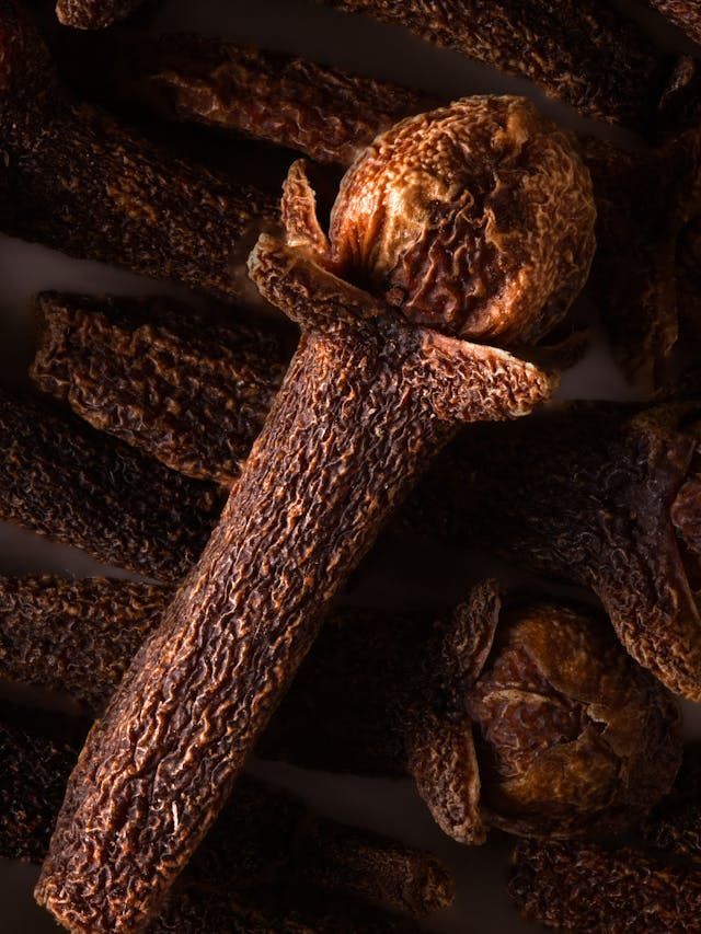 How to Grow Clove Plant at Home in Pots