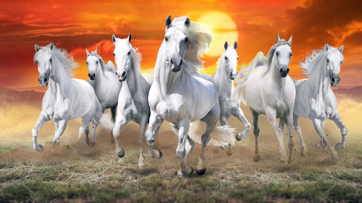7 Horses Painting Hd