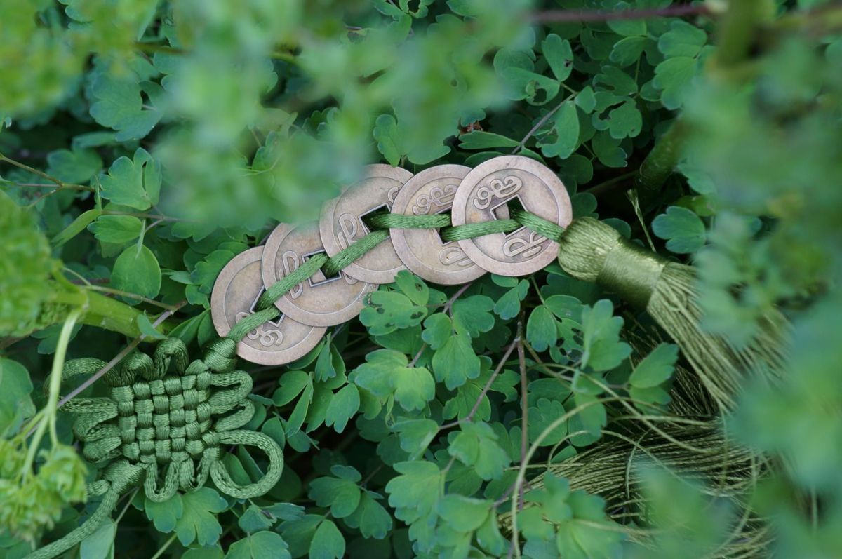 Know it All: 12 𝐅𝐞𝐧𝐠 𝐒𝐡𝐮𝐢 𝐒𝐞𝐜𝐫𝐞𝐭𝐬 to Attract Money and Success