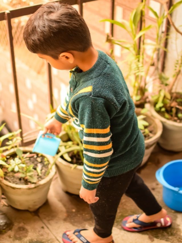7 Kids Safe Plants to Grow at Home
