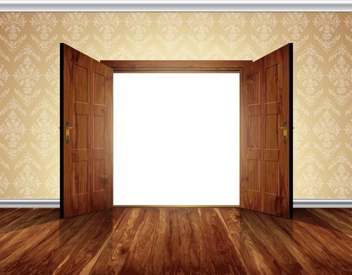 18 Main Hall Double Door Design Ideas for Your Home