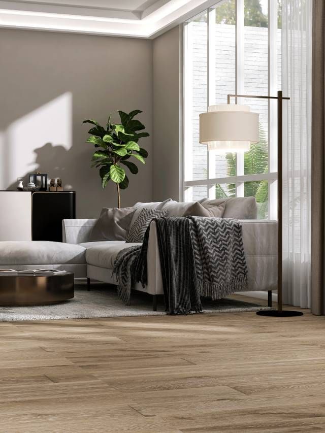 Grey Colour Paint Options to Give Your Home An Elegant Look