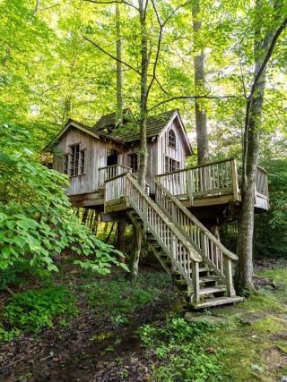 7 Amazing Treehouse Design Ideas- You'll Love Them All!