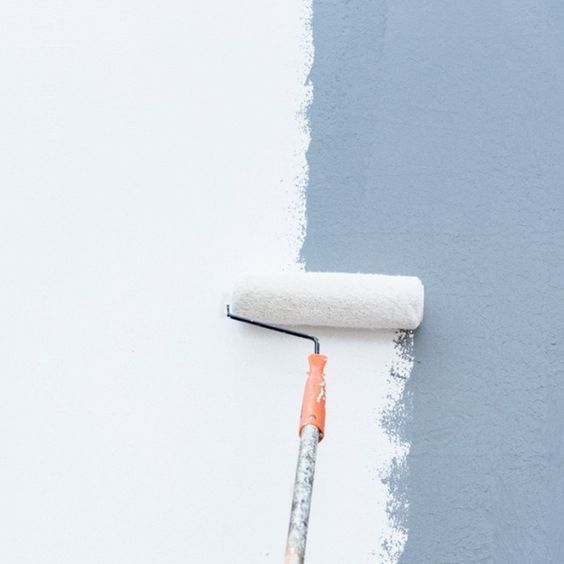 Best Distemper Colours For Home With Price And Colour Chart