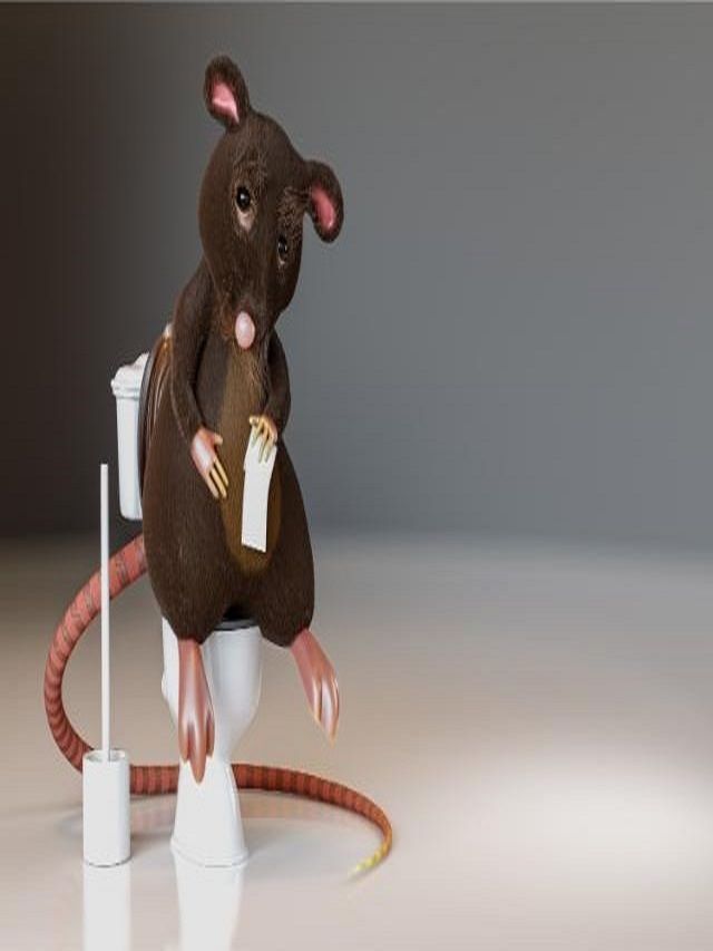 Tips to Get Rid of Rats from Bathroom