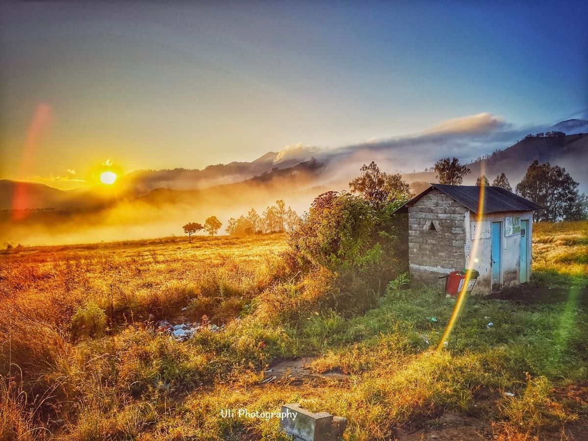 সঠিক বসানো টিপস সহ পূর্ব দেয়ালের জন্য 10টি সেরা বাস্তু পেইন্টিং