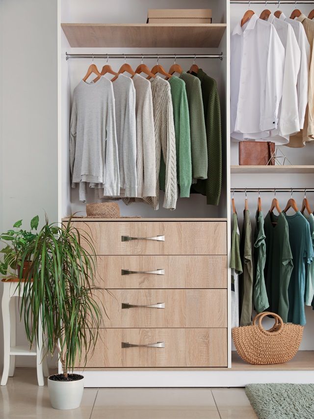 6 Out-of-the-Box Cupboard Designs Perfect for 2025