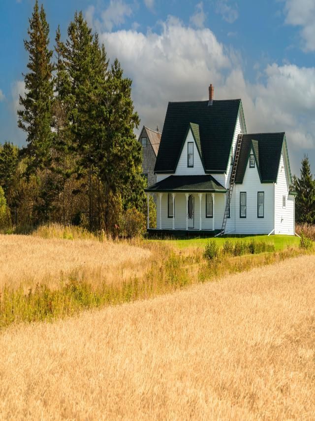 7 Tips to Design Your Farmhouse without Breaking the Bank