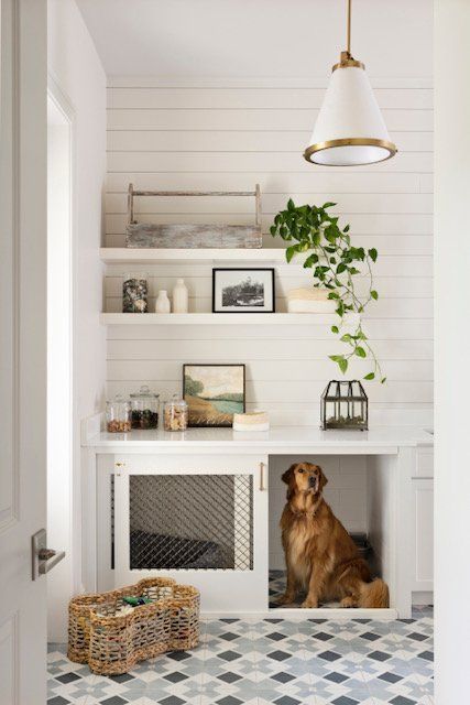 Designing A Pet Friendly Home