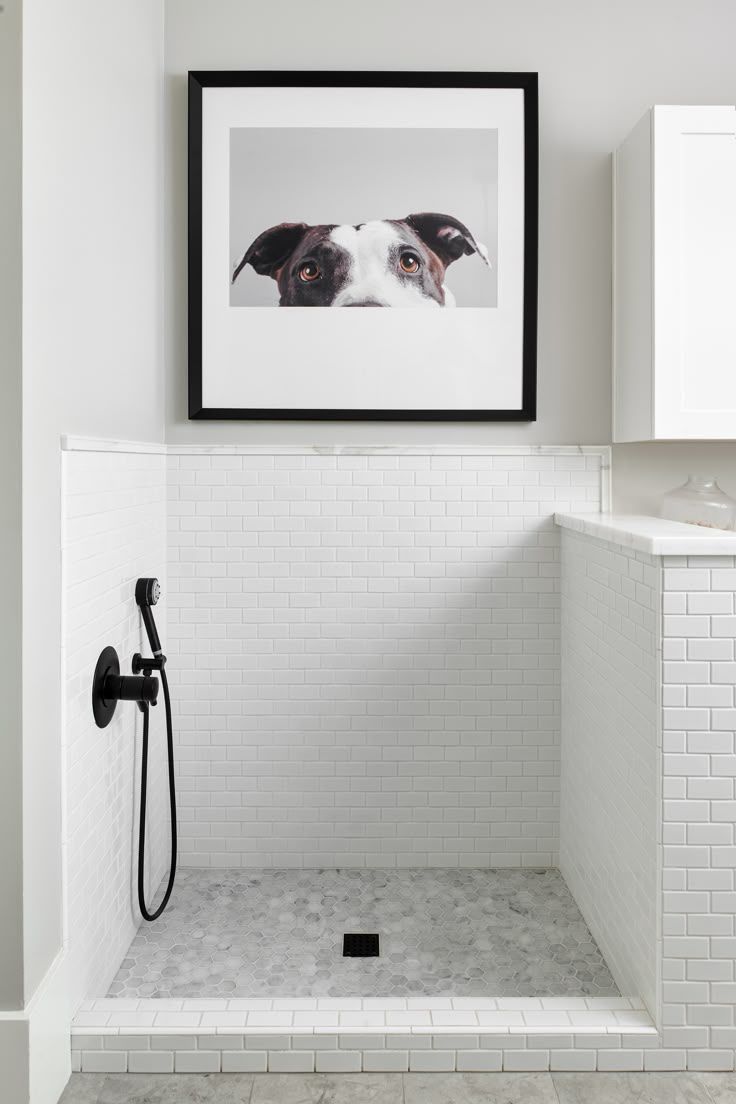 Designing A Pet Friendly Home