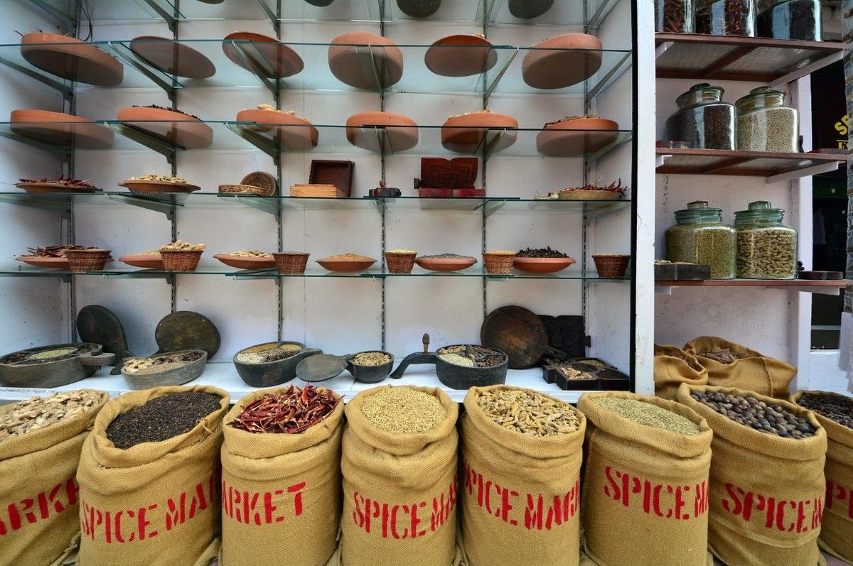 Famous Places in Kochi You Should Know Before You Shift to the City