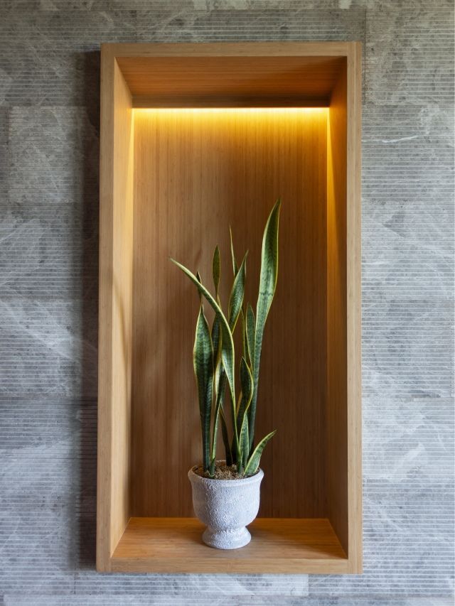How to Propagate Snake Plant from Leaf Cuttings in Six Easy Steps