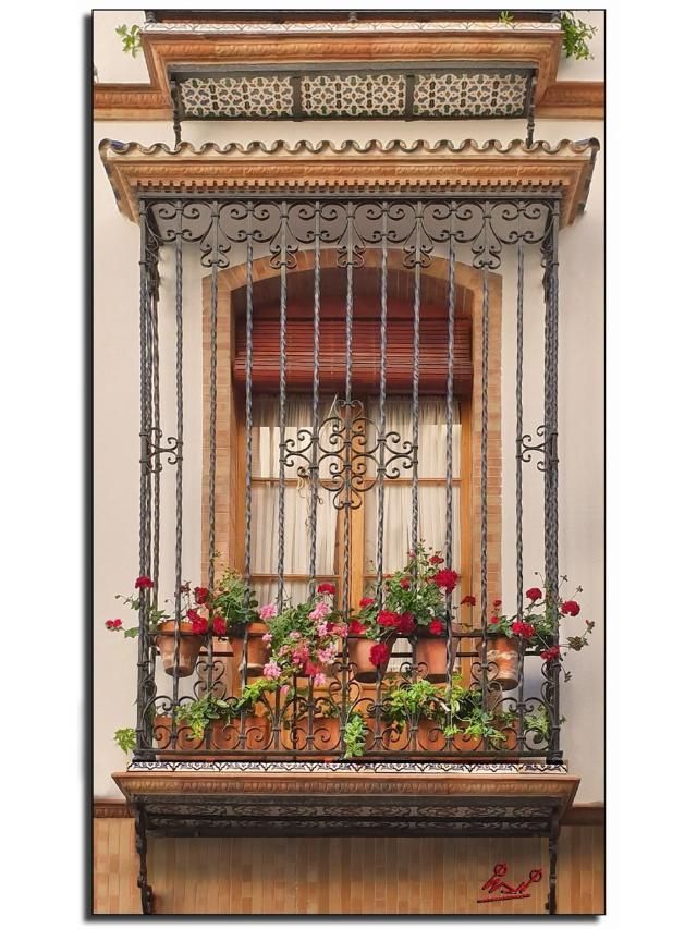 Pros And Cons Of Window Grills