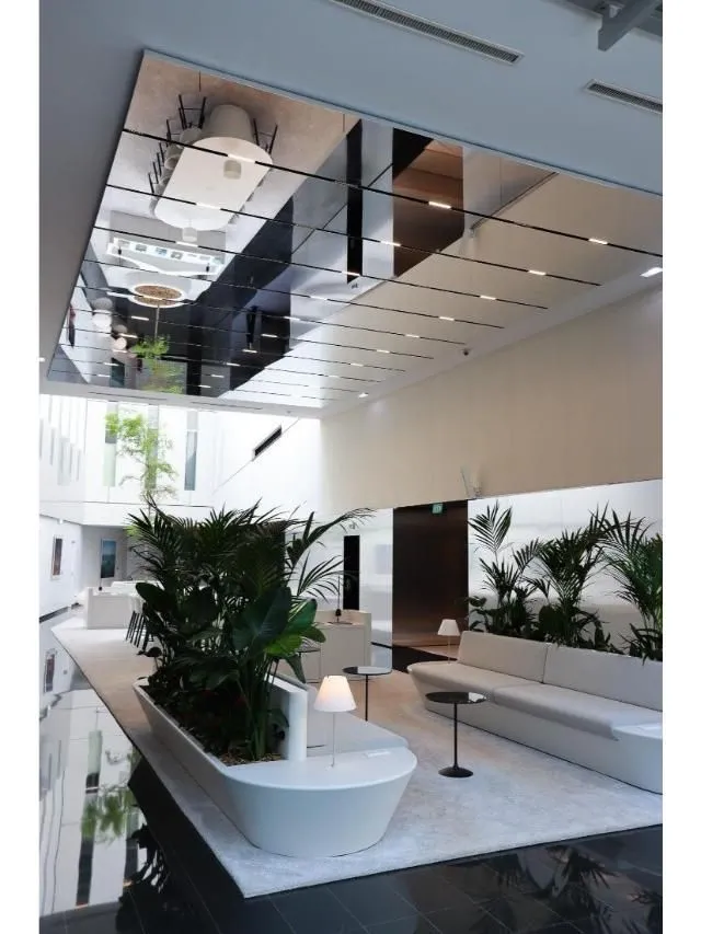 Mirror Ceiling- Pros And Cons