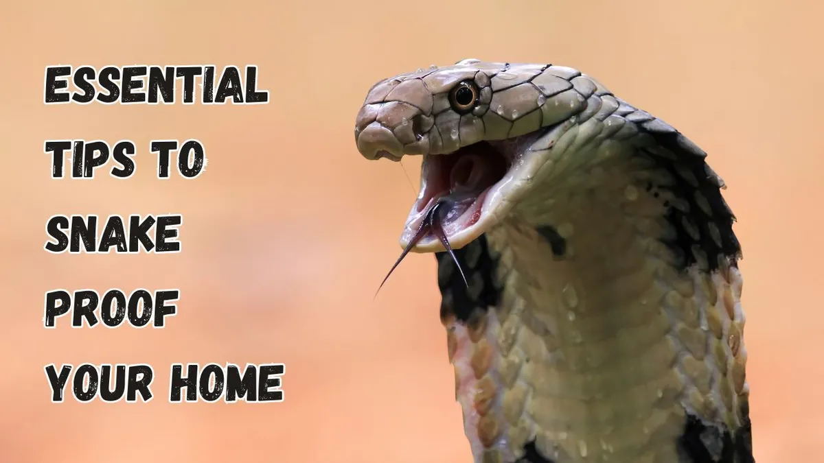 10 Practical Tips to Stop Snakes From Entering Your Home