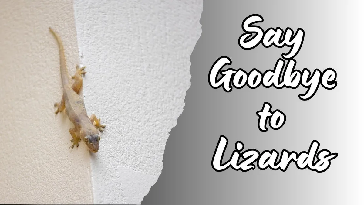 How To Get Rid of Lizards - Top Natural Remedies for a Lizard-Free Home