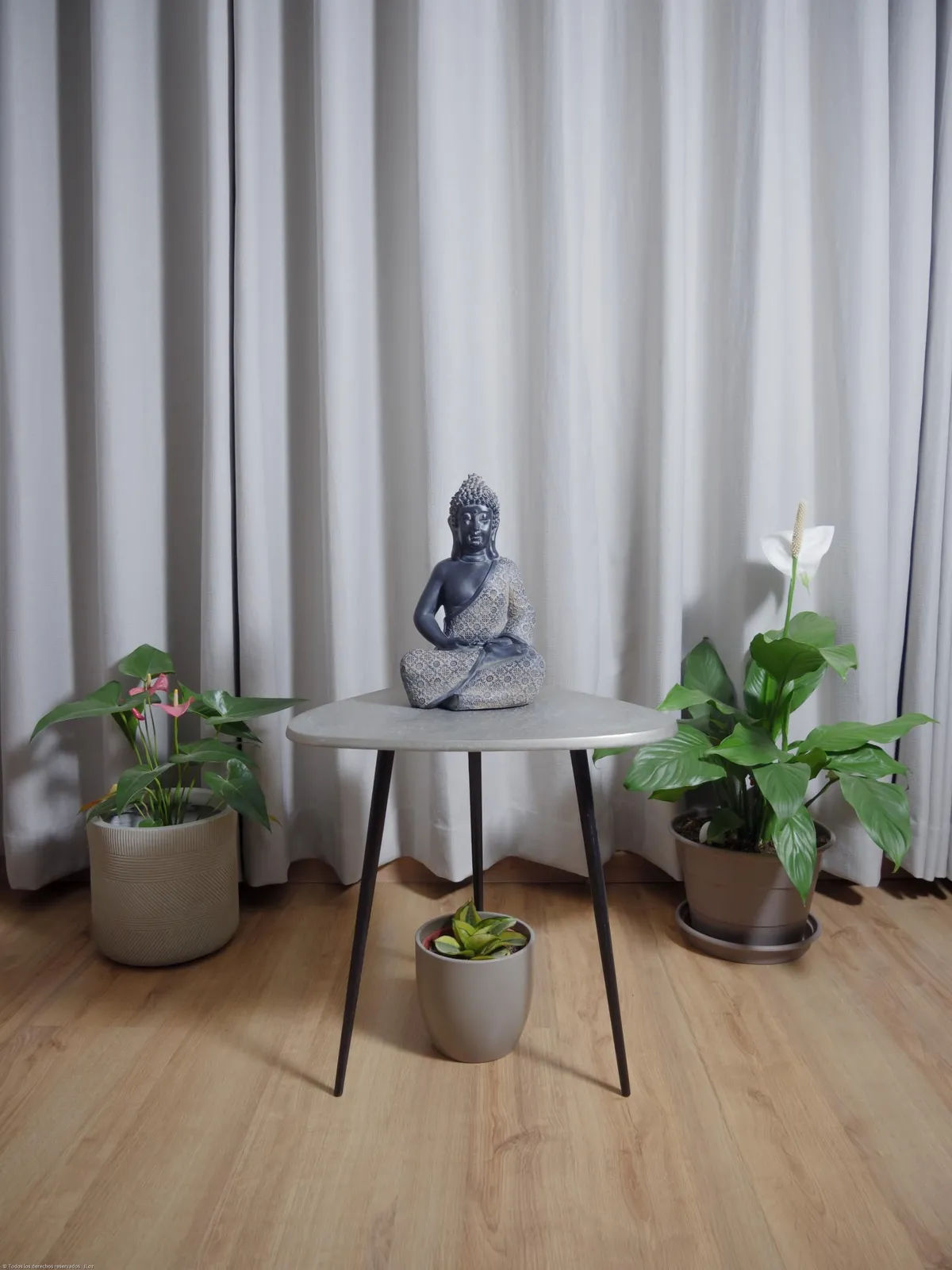 7 Reasons to Keep Buddha at Home Entrance