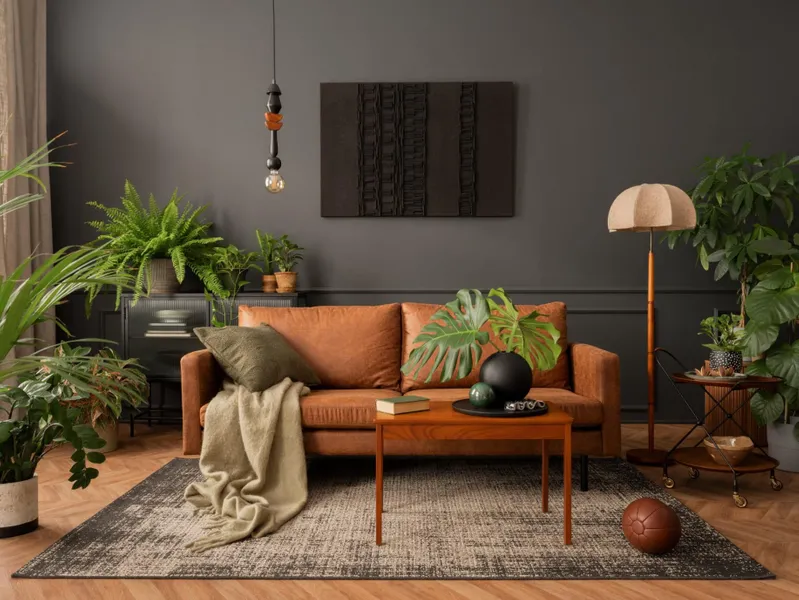 Best Places to Create a Green Corner in Your Home