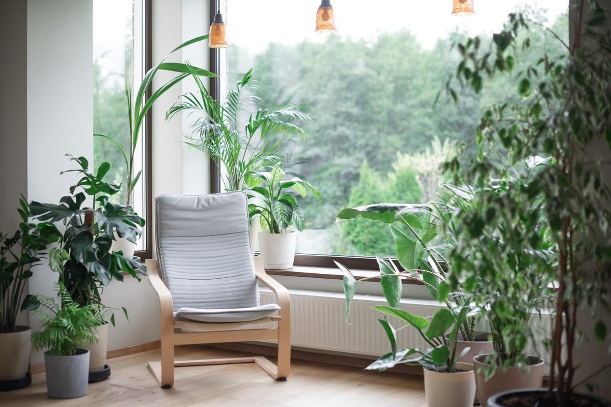 7 Sustainable Home Decor Trends Taking Over in 2026